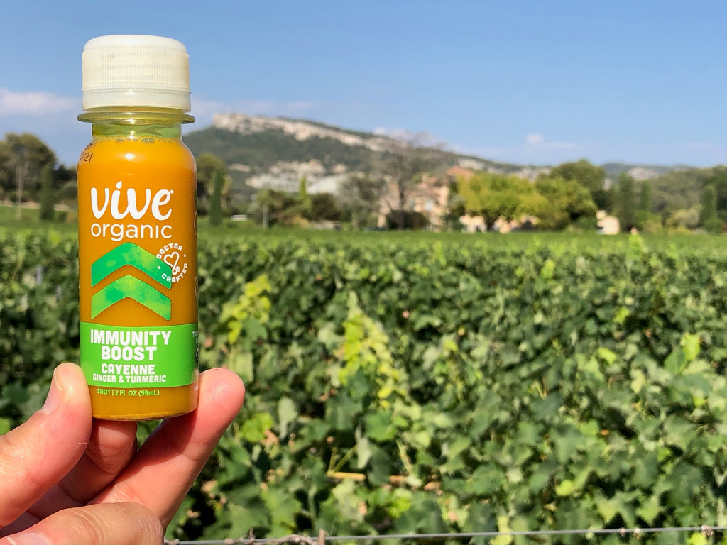 Holiday Survival Guide: Essential Shots | Vive Organic